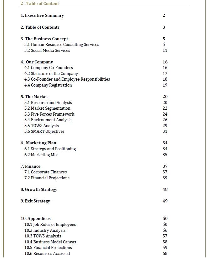 Business Plan with Financial Model by Jinesh Sanghrajka | Truelancer