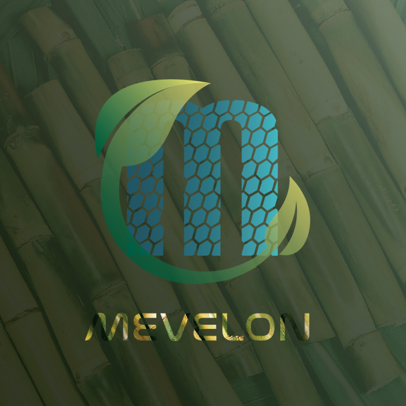 Mevelon logo by Ananta Poudel | Truelancer