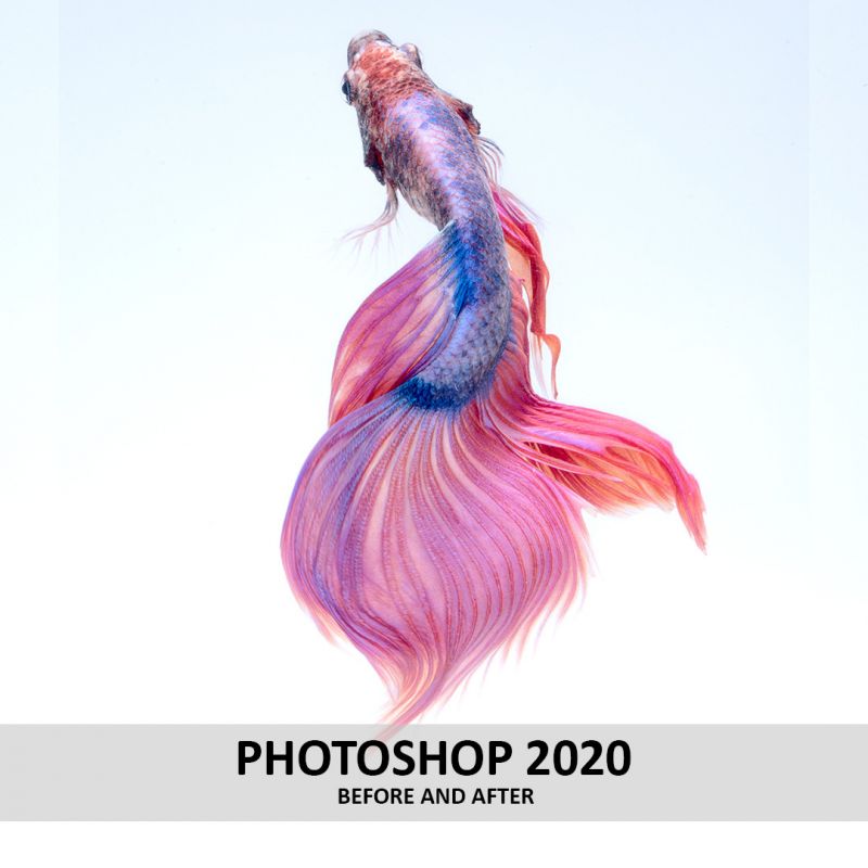 Photoshop manipulation by Jo V Joy | Truelancer
