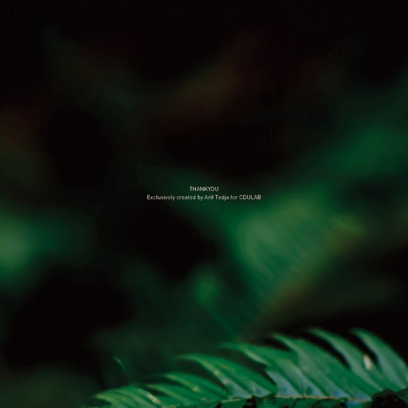 CDU Lab - Brand identity by Arif Teja Mukti | Truelancer