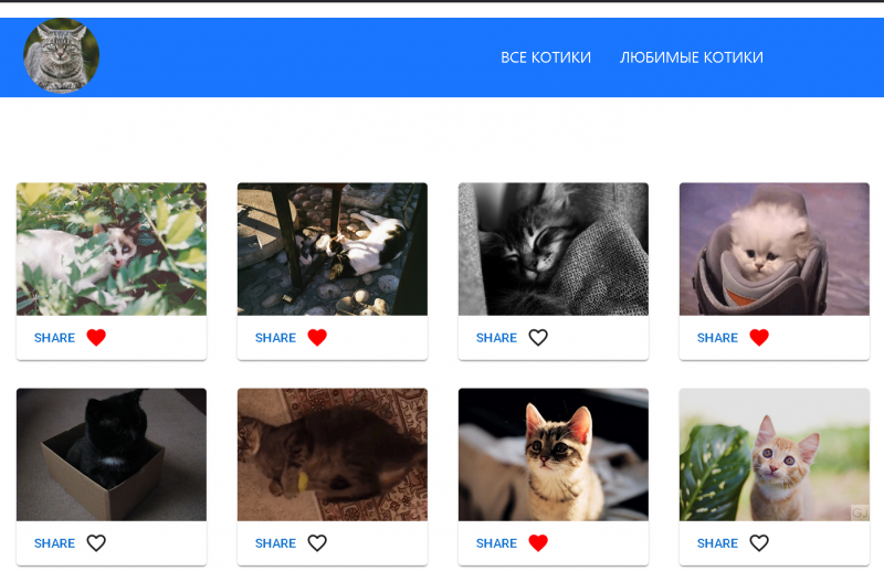 Ul to display favourite cats by Tatenda Ganyani | Truelancer