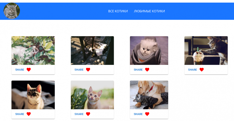 Ul to display favourite cats by Tatenda Ganyani | Truelancer