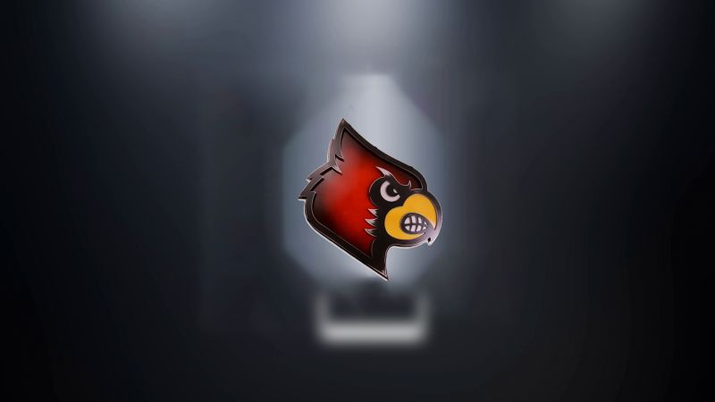 I am a professional graphic designer and i will fulfil your dream work ...