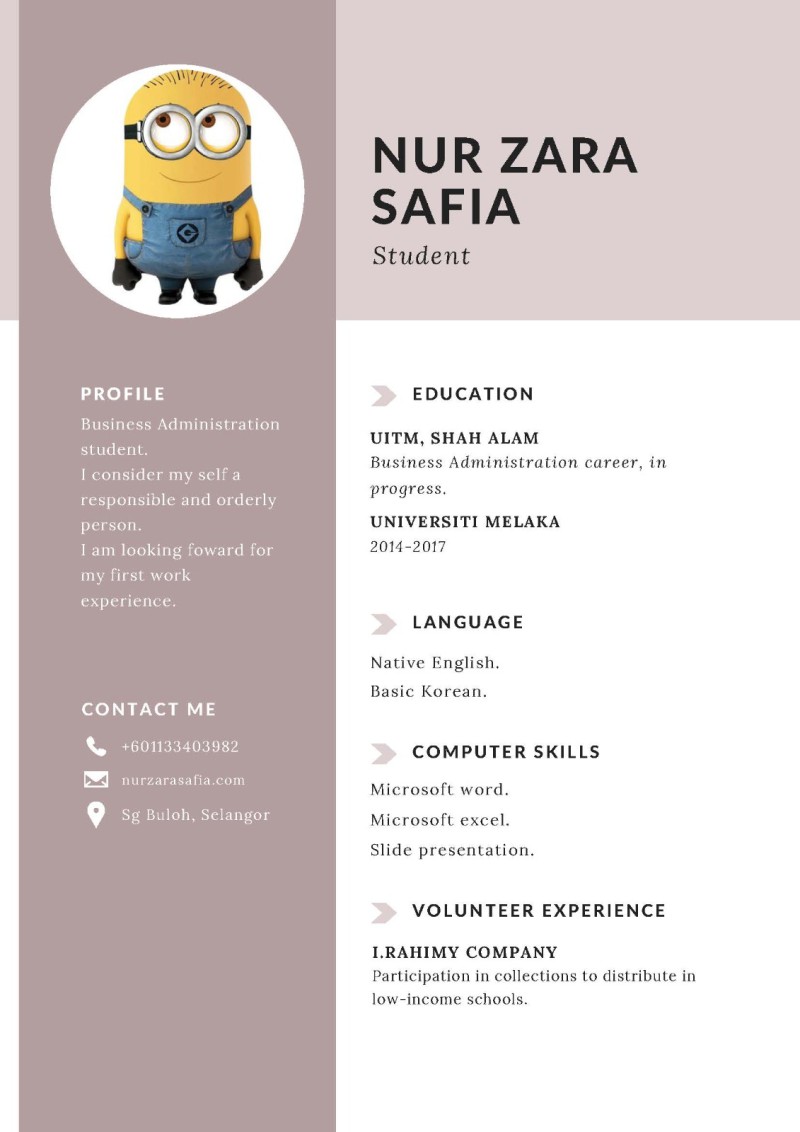 Sample Resume by Nur Zara Safia Inon | Truelancer