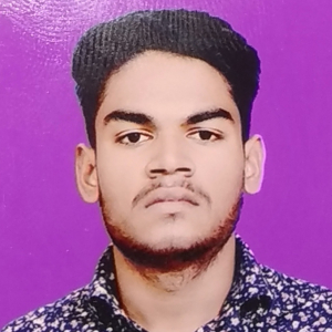 Rakesh Katara - Data Entey Operater - Freelancer from , India