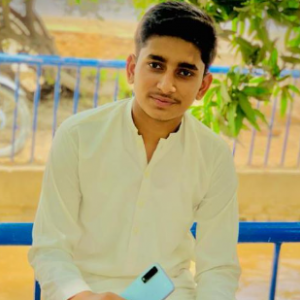Zeeshan Ali - DATA ENTRY - Freelancer from MULTAN, Pakistan