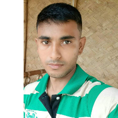 Anamul Haque Munna - copy paste, Data entry typing, web searce, Data m - Freelancer from Sylhet ...