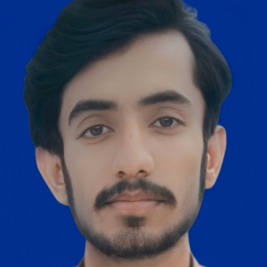 Sajid Ali Korejo - Expert in Logo Design, Video Editor - Freelancer ...