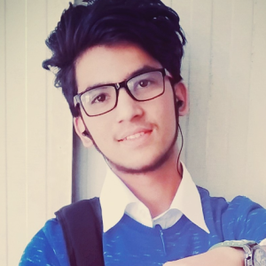 Sachin Negi - Full Stack Web Developer - Freelancer from Gopeshwar, India