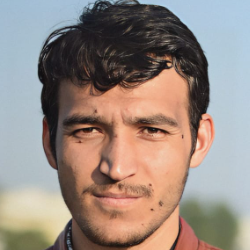 Naveed Abbas - Content Writer - Freelancer from Lahore, Pakistan, Pakistan
