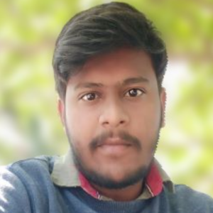 Harsha Vardhan - Website design, Digital marketing, Data entry & Copywriting - Freelancer from ...