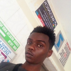 Dennis Kamau - Professional writer - Freelancer from Nakuru, kenya, Kenya